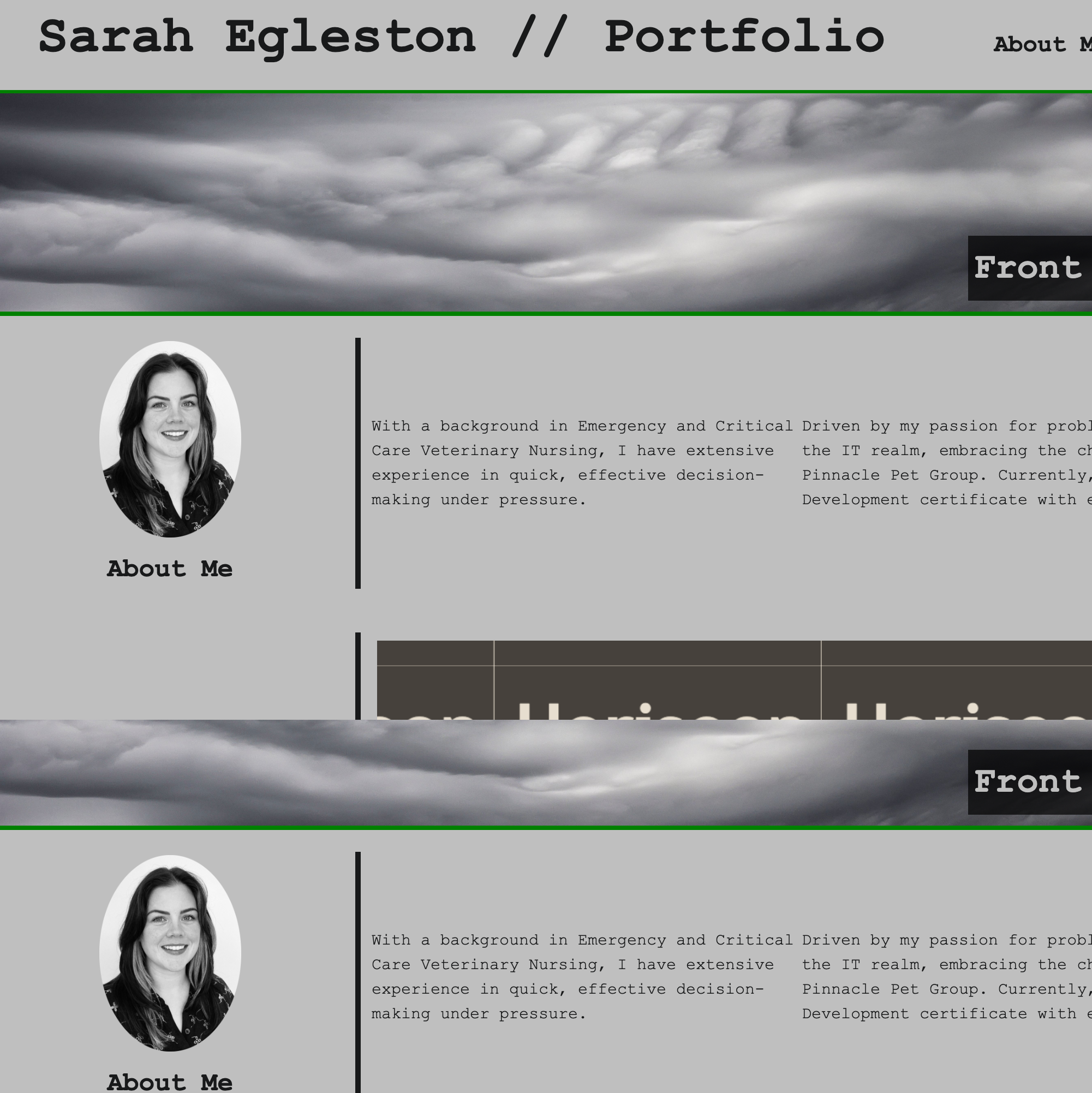 Sarah Egleston / Portfolio